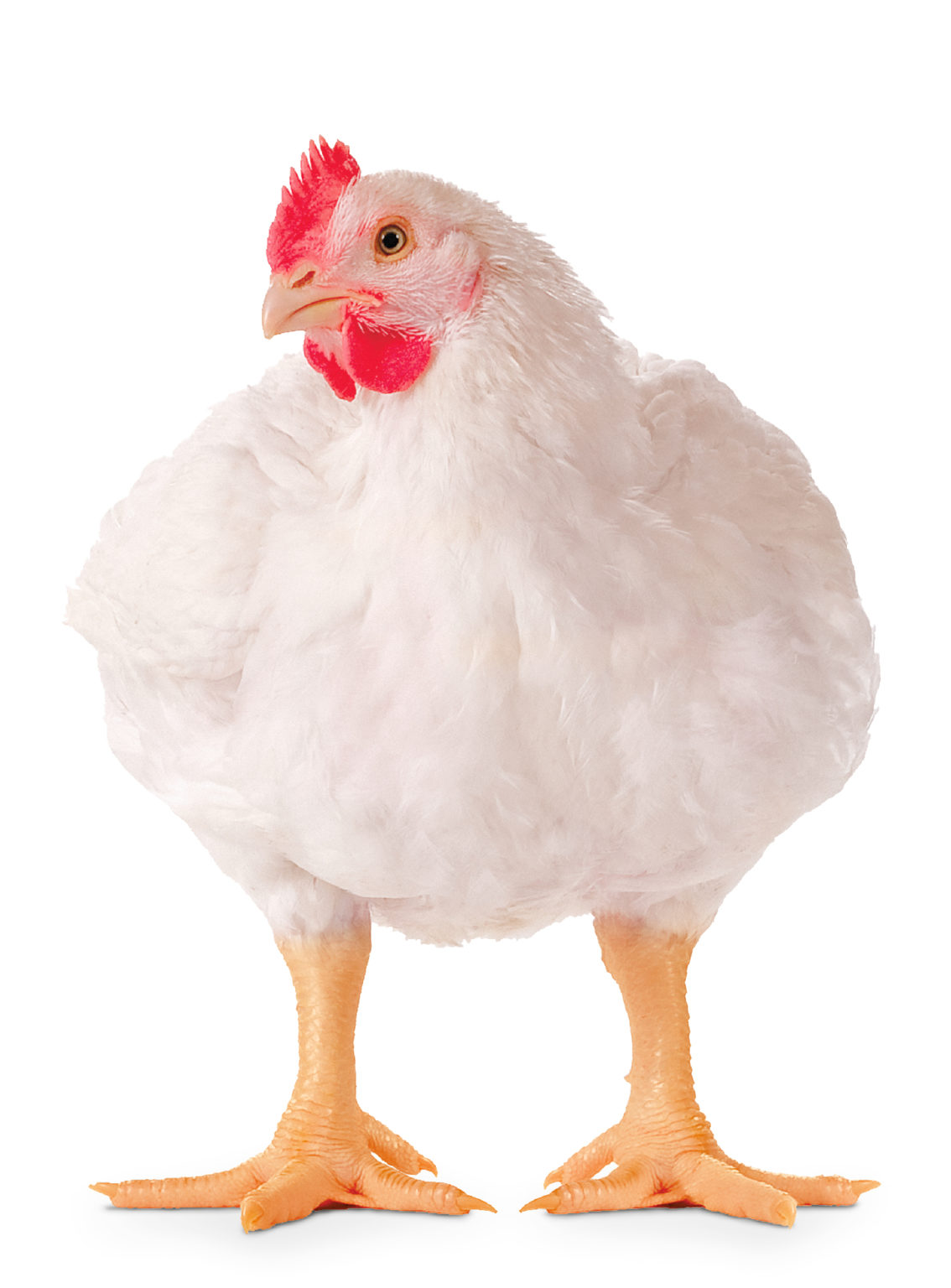 Hubbard Efficiency Plus – News Genher